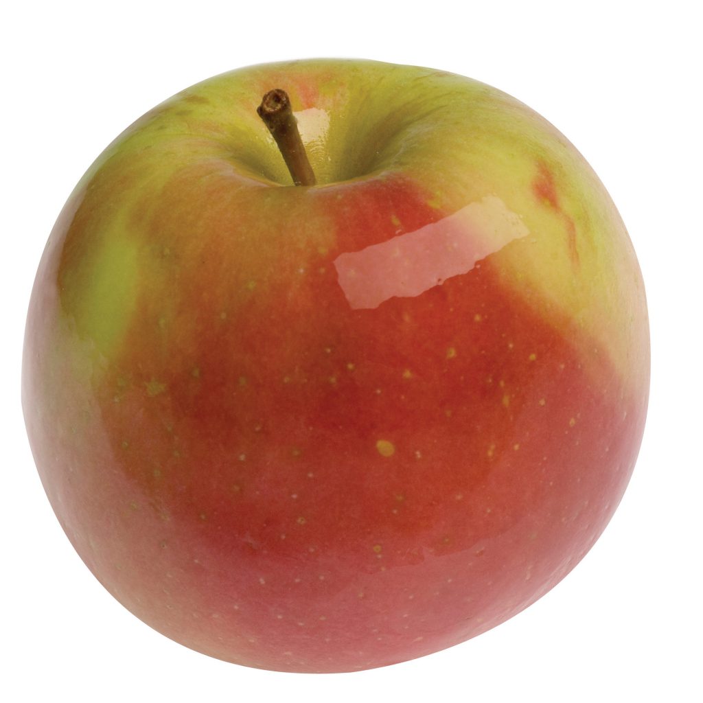 Apples, Pears, Bananas & Citrus Archives - Biviano & Sons