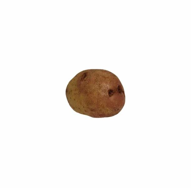 Extraordinary King Edward Potato Photos